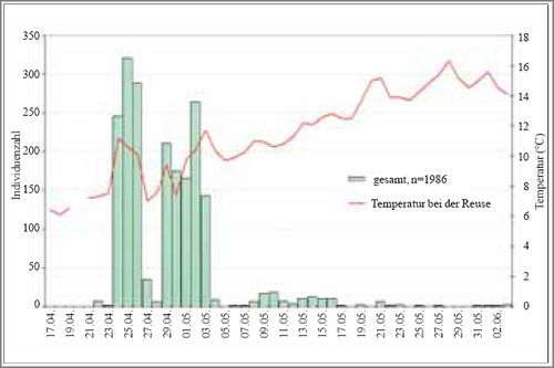 Perlfisch – Atterwiki